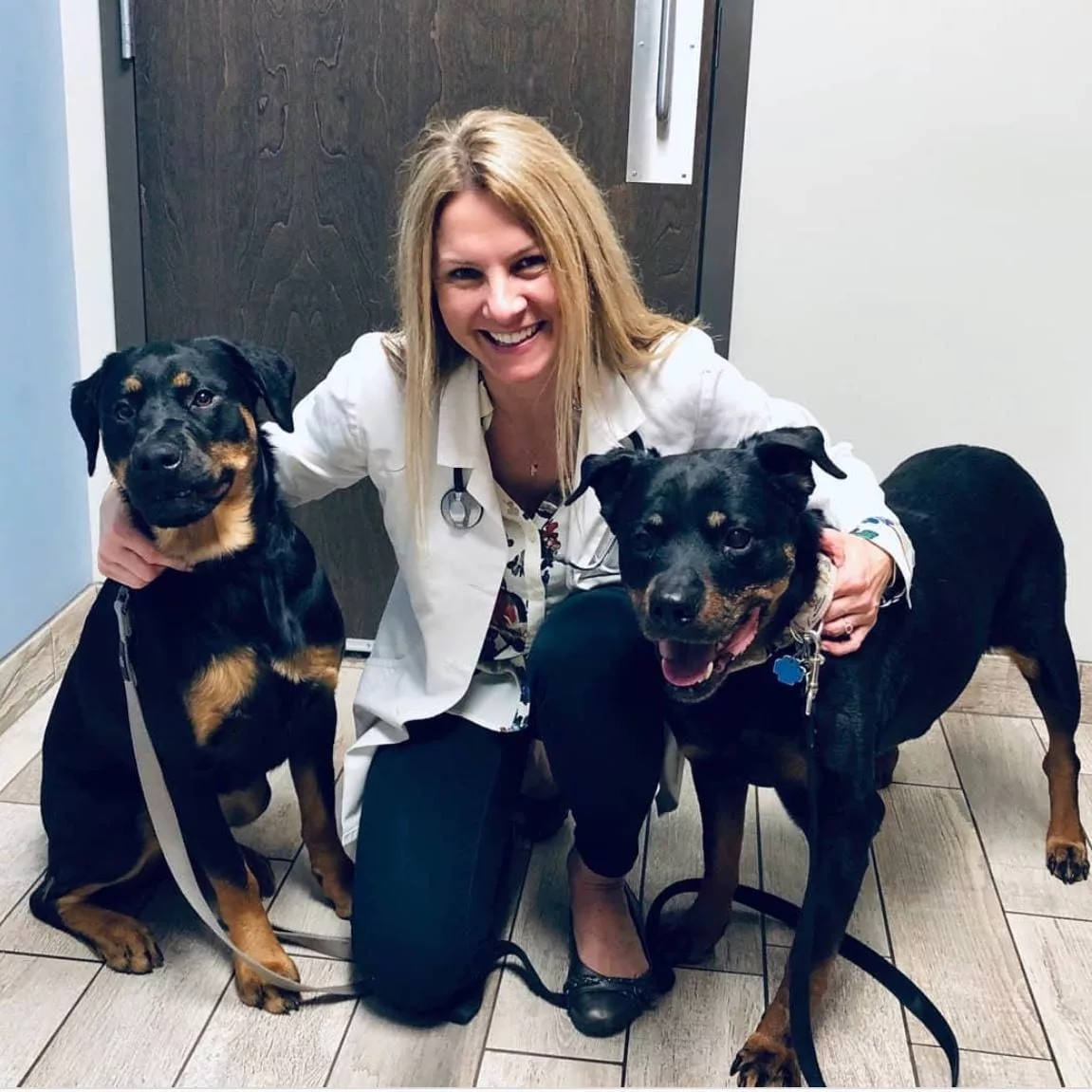 Meet Dr. Katherine Wawronowicz-Anderson | Companion Norridge